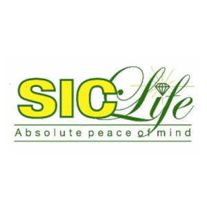 Entities – State Interests and Governance Authority